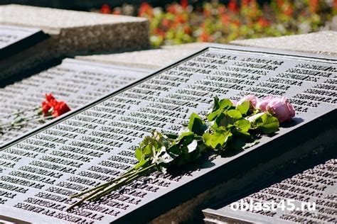 Жителям Курганской области предлагают рассказать о своих фронтовиках