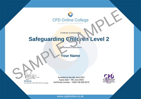 Safeguarding Online Courses Cpd Rospa And Skills For Care