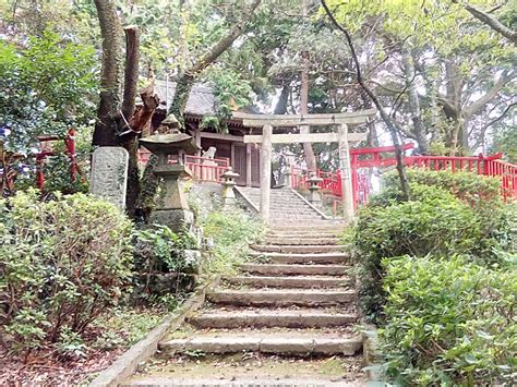 金比羅山緑地の完全ガイド｜レビュー・駐車場・遊具など