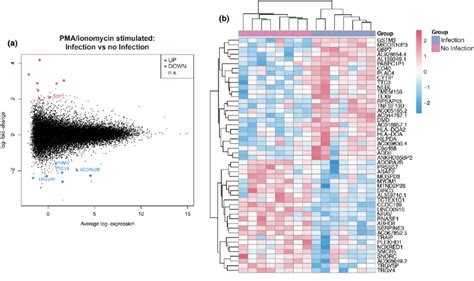 Transcriptome Analysis In Stimulated Pbmcs Comparing Infection And No