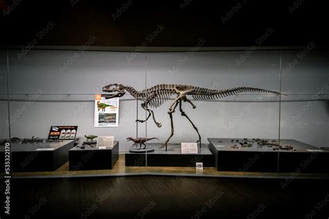 Fukuiraptor