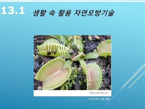 생체모방활용사례 조사