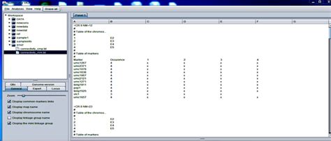 Infomap Step Showing Connection Between Maps The Markers Which Are Download Scientific Diagram