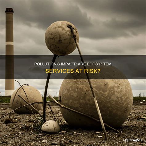 Pollutions Impact Are Ecosystem Services At Risk Shunwaste