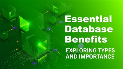 Data Infrastructure Essentials Exploring Database Benefits And Types Meleworks Data Consulting
