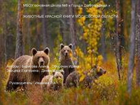 Животные Красной книги Московской области презентация онлайн