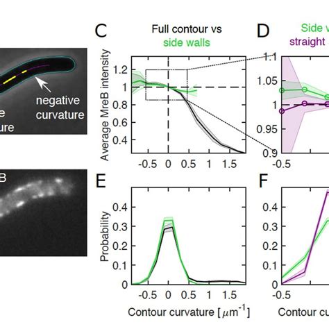 Molecular Diffusion And Msd Analysis A Different Types Of Diffusion Download Scientific