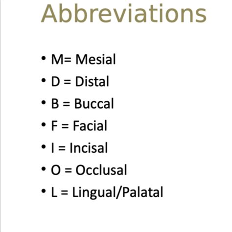 Dental Anatomy Charting Flashcards Quizlet