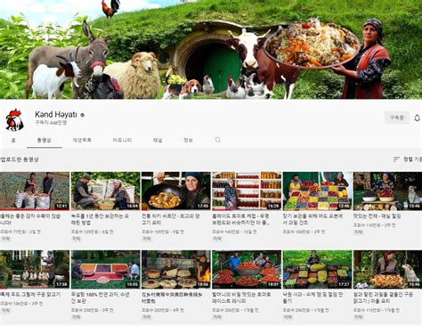 요즘 유튜브에서 은근히 인기 많다는 외국 시골 브이로그 인스티즈instiz 이슈 카테고리