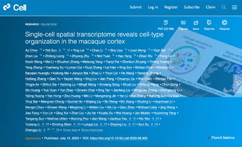 International Scientists Release Most Complete Primate Brain Cell Atlas