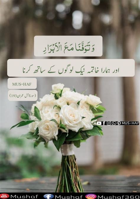 Qamar Raza Posted On Linkedin