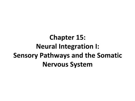 PPT Chapter Neural Integration I Sensory Pathways And The Somatic Nervous System