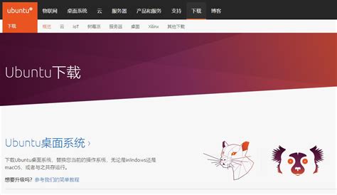 Ubuntu 开机启动脚本配置 阿里云开发者社区