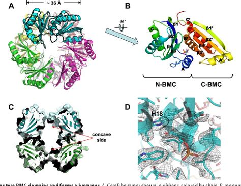 Figure 2 From The Structure Of Ccmp A Tandem Bacterial