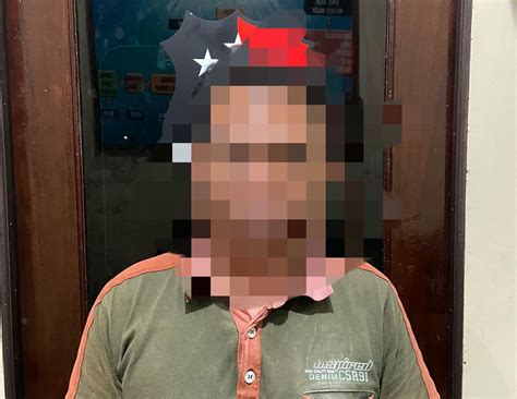 Modus Imingi Pekerjaan Mawar Dicabuli Di Penginapan Nanga Taman Sekadau Suaraindo Id