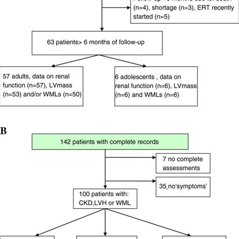 Overview Of Ert And Non Ert Cohort A The Flow Chart Shows The