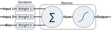 Neuron With Two Input Synapses And One Bias Synapse Download