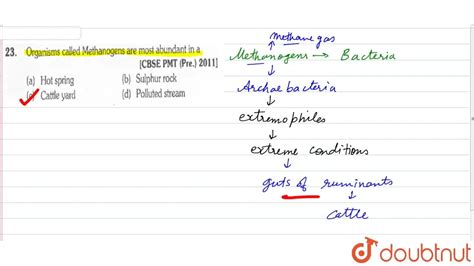 Organisms Called Methanogens Are Most Abundant In A