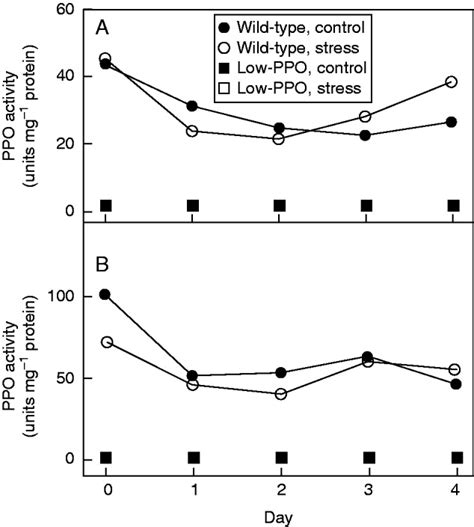 Polyphenol Oxidase Mediated Protection Against Oxidative Stress Is Not Associated With Enhanced