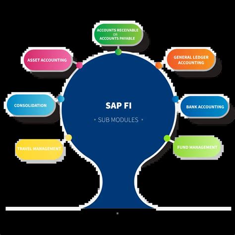 Sap Fico Training Institute In Btm Layout Cloudsynergy