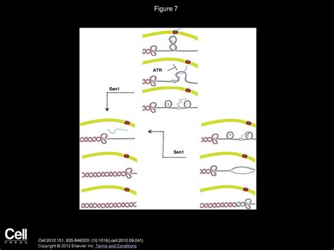 volume 151 issue 4 pages november 2012 ppt download