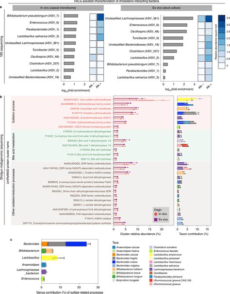 Gut Microbes That Interact With Diet Derived Cholesterol A 16s Rrna Download Scientific