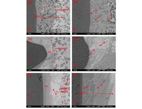 Microstructures Of Titanium Weld Interface Between The Weld Metal And Download Scientific