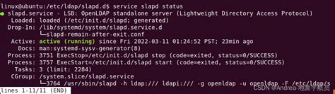 ubuntu下的ldap搭建配置和测试 ubuntu ldap csdn博客