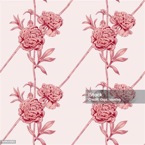 벡터 빨간색 흑백 모란 꽃 새싹 줄기 사각 꽃 완벽 한 패턴 분홍색 배경 디지털에 잎 그리기 조각 빈티지 스타일 스케치 벡터 일러스트레이션 0명에 대한 스톡 벡터 아트 및