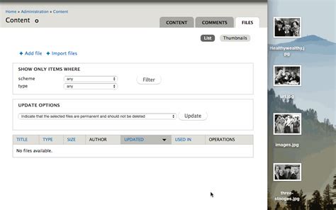drag and drop batch upload files in drupal