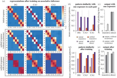 Complementary learning systems within the hippocampus: a neural network modelling approach to ...