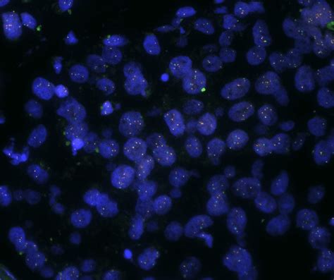 Microbiology Bacteriology Bacteria Scientist Instagram Biotech