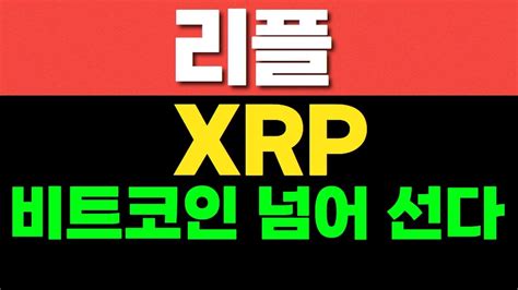 리플코인 Xrp 비트코인 넘어 선다 리플전망리플분석sec리플 Youtube
