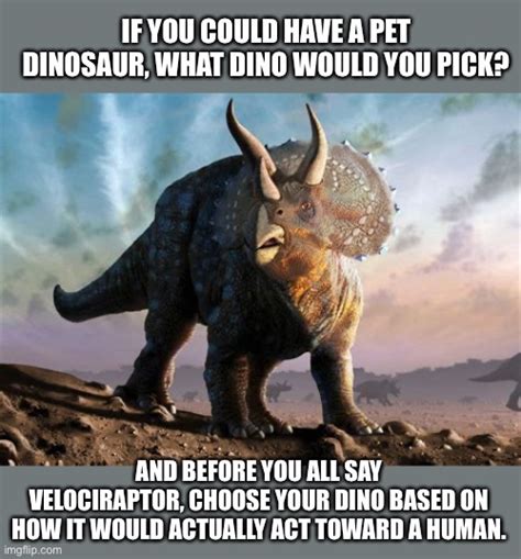 Dinosaur Triceratops Memes And S Imgflip