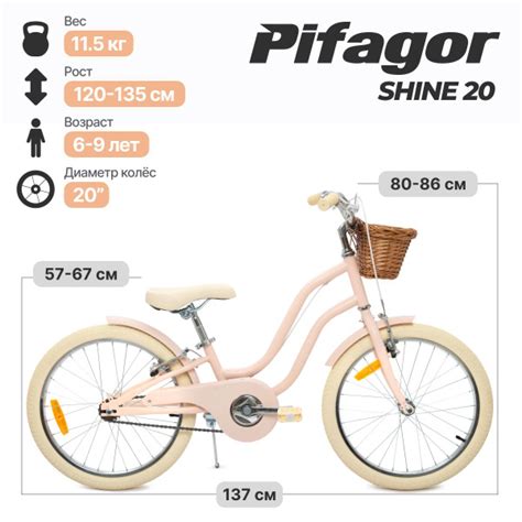 Велосипед Pifagor Shine 20 - купить с доставкой по выгодным ценам в ...