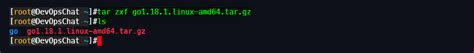 debian 11 安装部署 go 和设置环境变量 debian安装go csdn博客