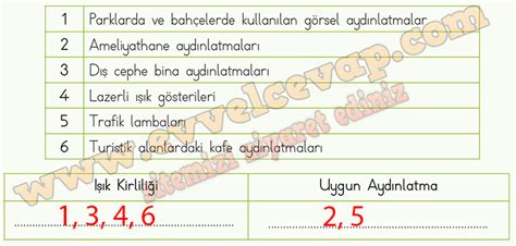 4 Sınıf Fen Bilimleri Ders Kitabı Cevapları Meb Yayınları Sayfa 157