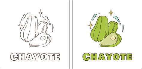 Una Página Para Colorear Dibujada A Mano Para Chayote 9243212 Vector En