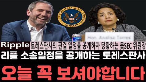 리플전망 리플 토레스판사 Sec와의 사건종결을 알리는 소식에 당황하는 Sec위원장 오늘 영상은 꼭 보셔야합니다 리플전망