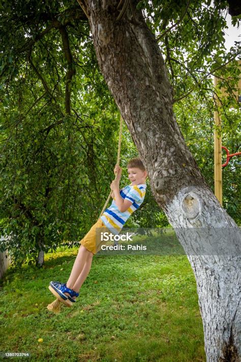 행복한 어린 소년은 도시 밖에서 휴식을 취하면서 발견 한 밧줄 스윙에 재미를 가지고있다 아이들과 함께 하는 활동적인 여가 시간