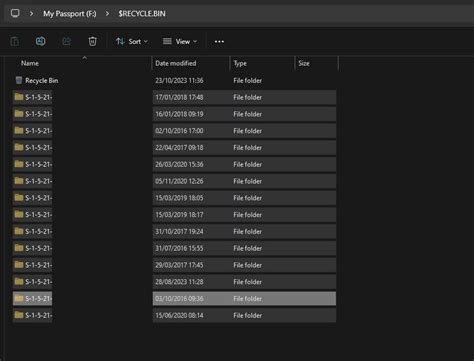Recyclebin Can I Delete The Folders Inside This Directory R