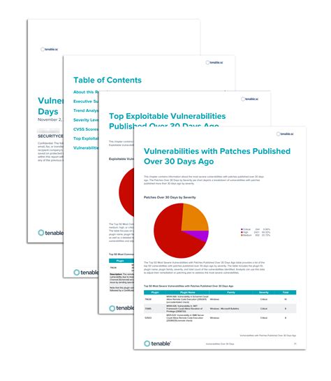Vulnerabilities Over 30 Days Report Sc Report Template Tenable®