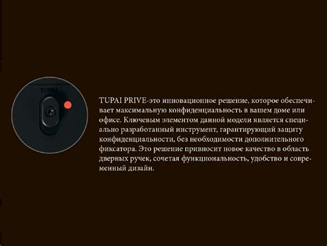 Ручка Tupai Big Line 4084 5RE 96 хром матовый
