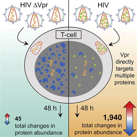 Promiscuous Targeting Of Cellular Proteins By Vpr Drives Systems Level