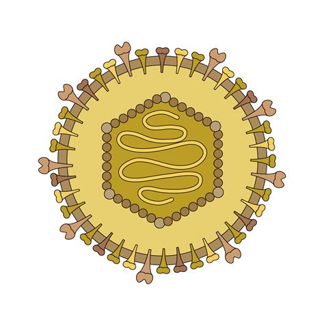 Learn About The 8 Viruses That Can Cause Cancer