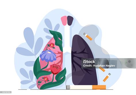 흡연자 폐 개념 꽃이 만발한 폐와 검은 폐 건강에 해로운 생활 방식과 나쁜 습관 담배와 니코틴 중독 평면 벡터 일러스트 레이 션 0명에 대한 스톡 벡터 아트 및 기타 이미지