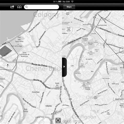 Examples Of GIS Maps Drawn By Interviewees Living In Geneva Download Scientific Diagram