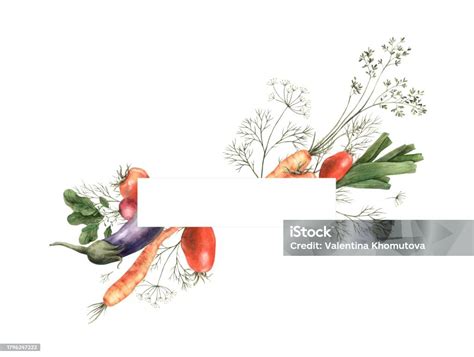 수채화 야채는 토마토 양파 가지 당근 무 채소와 테두리를 이룹니다 손으로 그린 채식 배너 에코 메뉴 인사말 카드 조리법 일러스트레이션에 대한 스톡 벡터 아트 및 기타 이미지