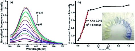 A Novel Long Wavelength Fluorescent Probe For Discrimination Of