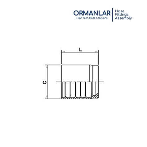 SN03T | ORMANLAR